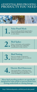Why you should Always Bird Proof your Solar Panels?