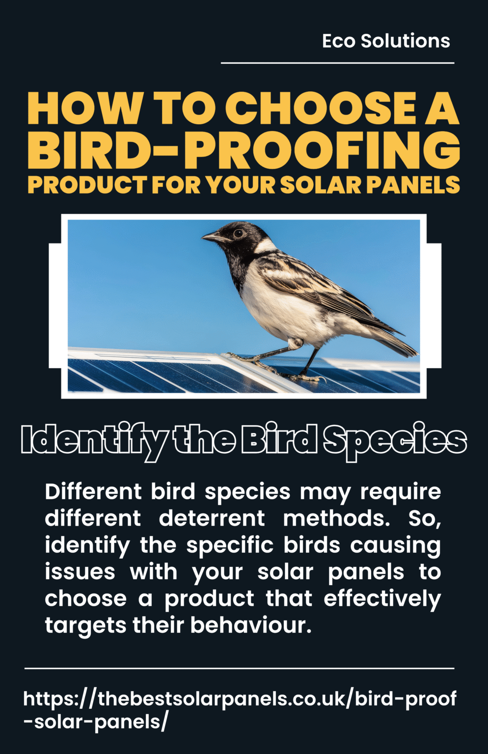 Why you should Always Bird Proof your Solar Panels?